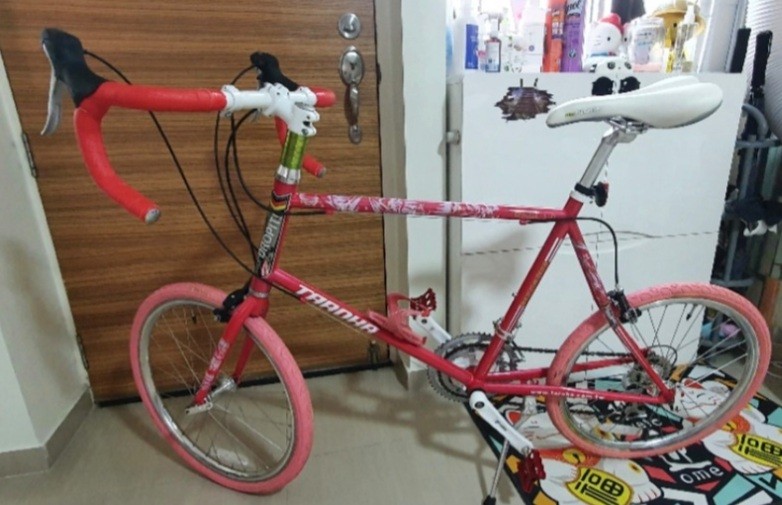 Mini Velo/ Road Bike shimano group set and Nice F1 red Colour (made in ...