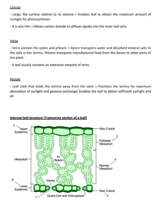 Sec 2 Science Notes - Biology, Hobbies & Toys, Books & Magazines ...