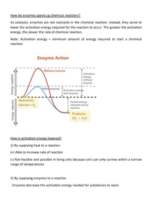 Sec 2 Science Notes - Biology, Hobbies & Toys, Books & Magazines ...