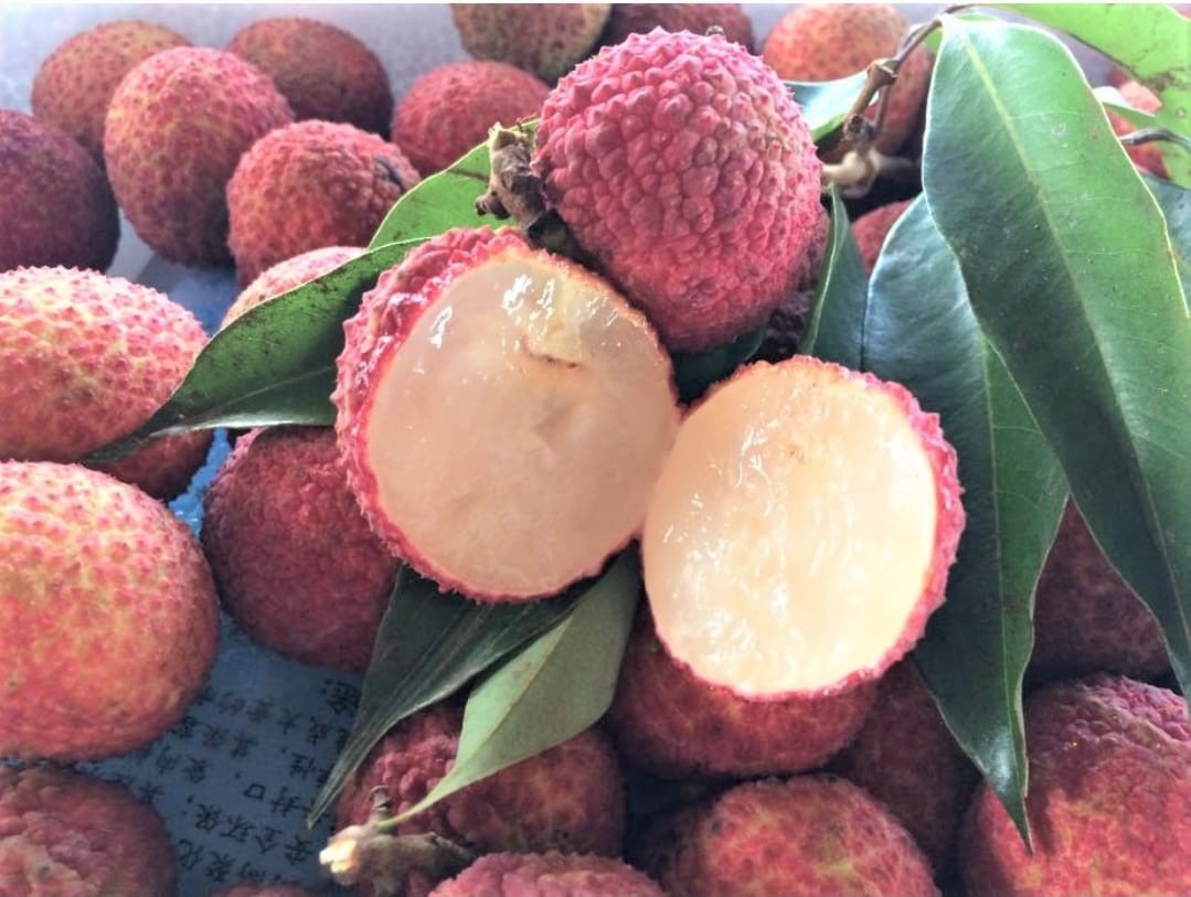 Seedless Lychee (China), Food & Drinks, Fresh Produce on Carousell
