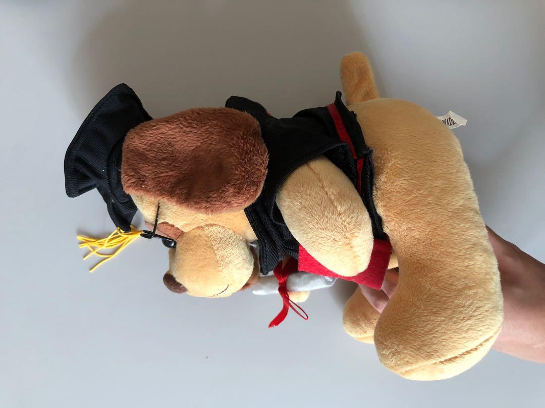 Graduation Dog Plushie, Hobbies & Toys, Toys & Games on Carousell