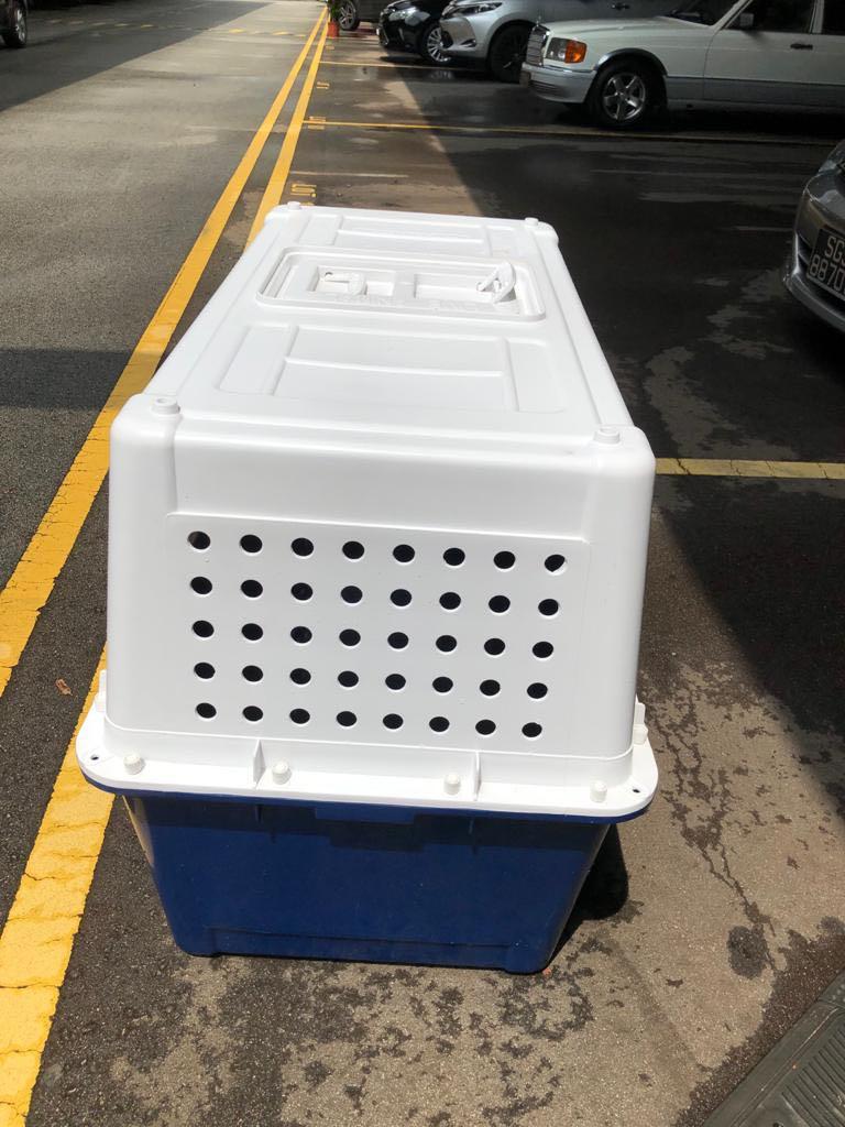 IATA APPROVED PET CRATE (PP70), Pet Supplies, Homes & Other Pet ...
