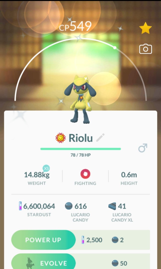 Shiny Riolu, Video Gaming, Gaming Accessories, In-Game Products on ...