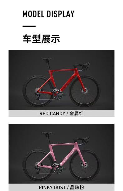 Yoeleo R9 優利奧全內走碟剎碳纖維公路車架 R9破風碟剎公路車架組 ，T800碳布 全隱藏設計 ，全碳一體把 氣動車型 uci認證 ...