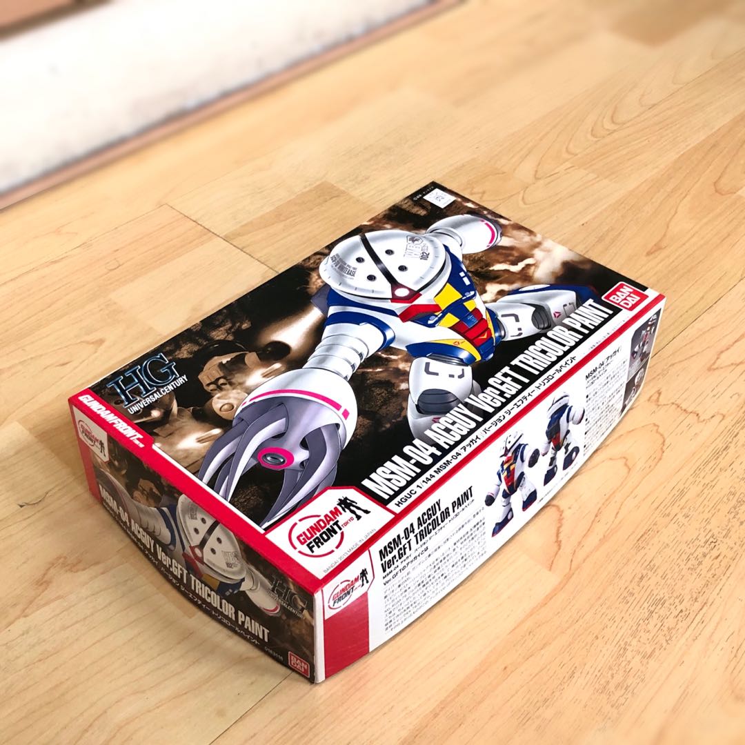 Gundam HGUC 1/144 Acguy Ver.GFT TRICOLOR PAINT, Hobbies & Toys, Toys ...