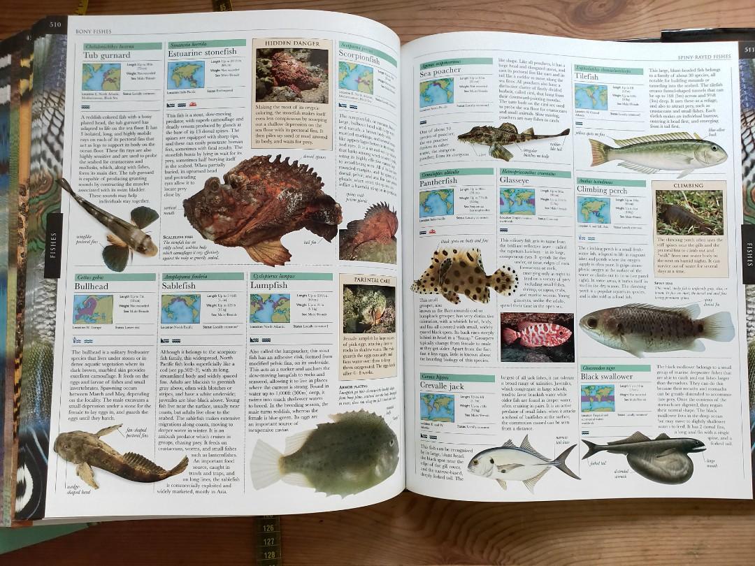Reduced Price!! Smithsonian Institute Definitive Visual Guide to ...