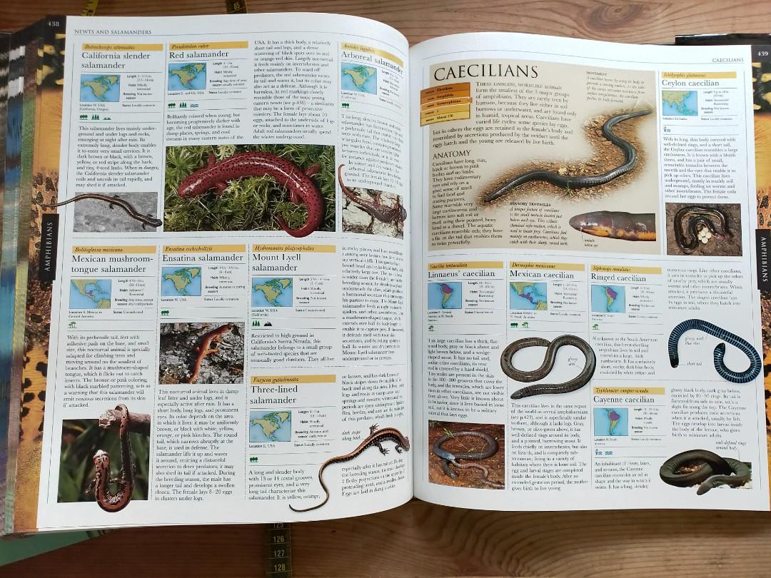 Reduced Price!! Smithsonian Institute Definitive Visual Guide to ...