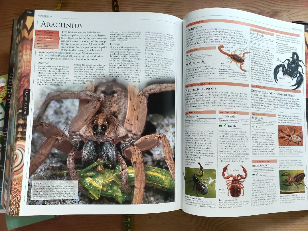 Reduced Price!! Smithsonian Institute Definitive Visual Guide to ...