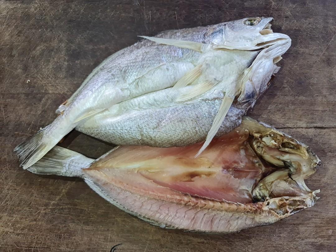 Ikan gelama bekok, Food & Drinks, Fresh Produce on Carousell