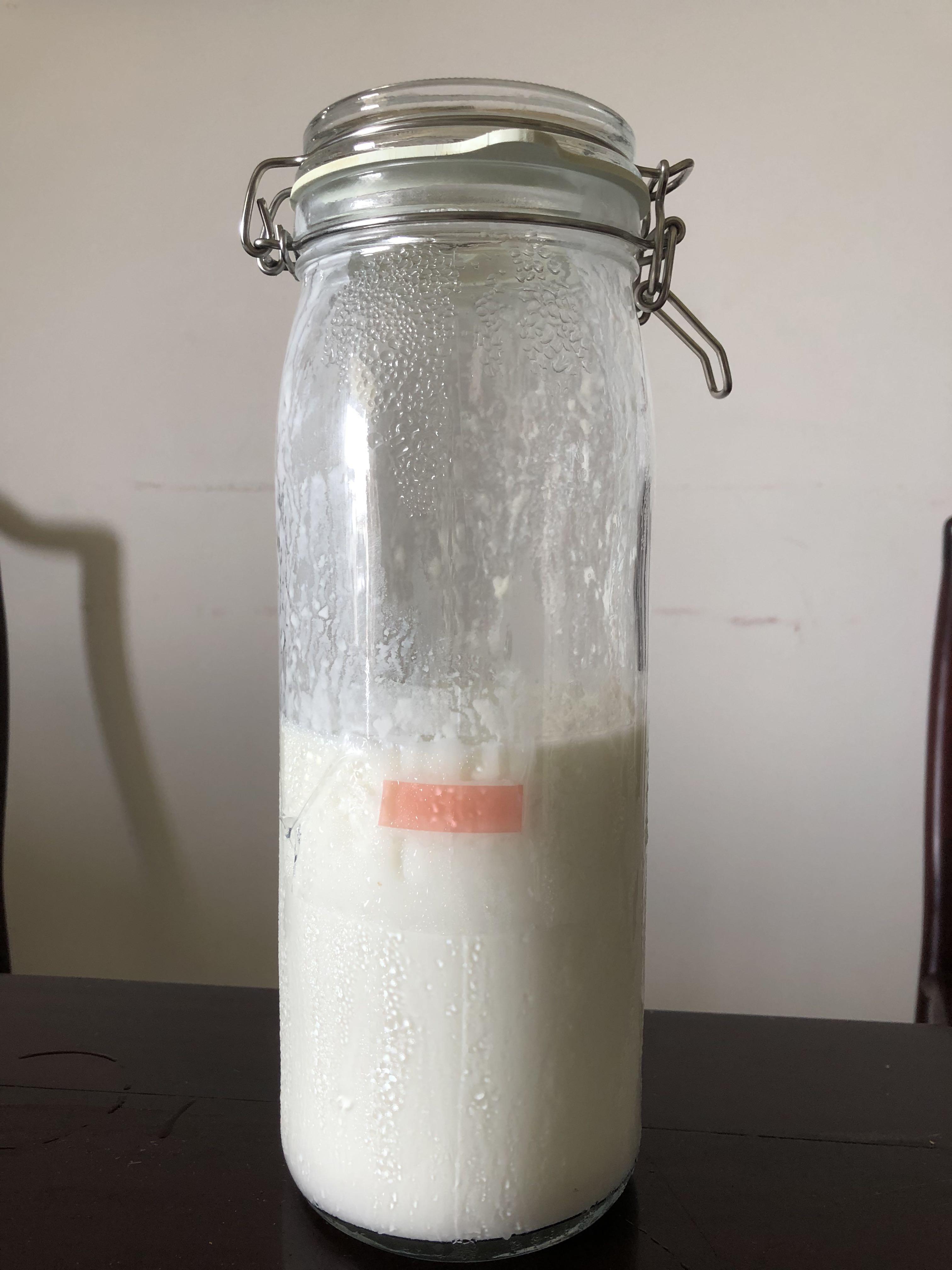 Milk Kefir, Health & Nutrition, Health Supplements, Health Food, Drinks ...