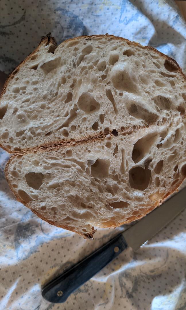 Kamut Sourdough bread blisters, an amazing thin crust and good crumb ...