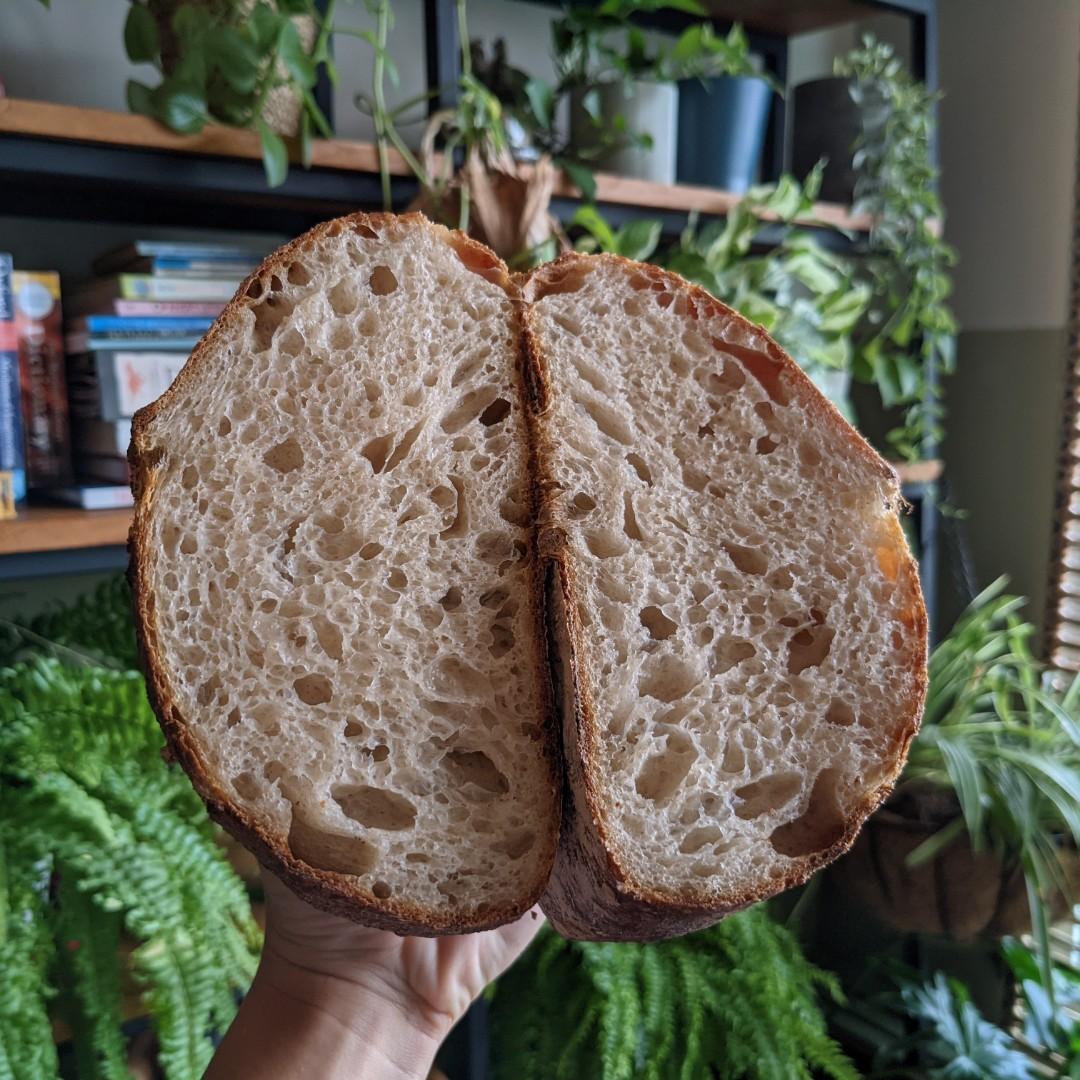 Kamut Sourdough bread blisters, an amazing thin crust and good crumb ...