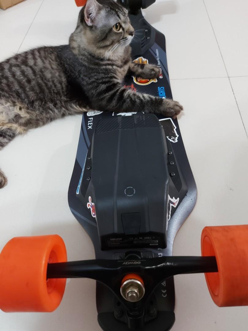 Exway Flex Riot (Electric Skateboard), Sports Equipment, Sports & Games ...