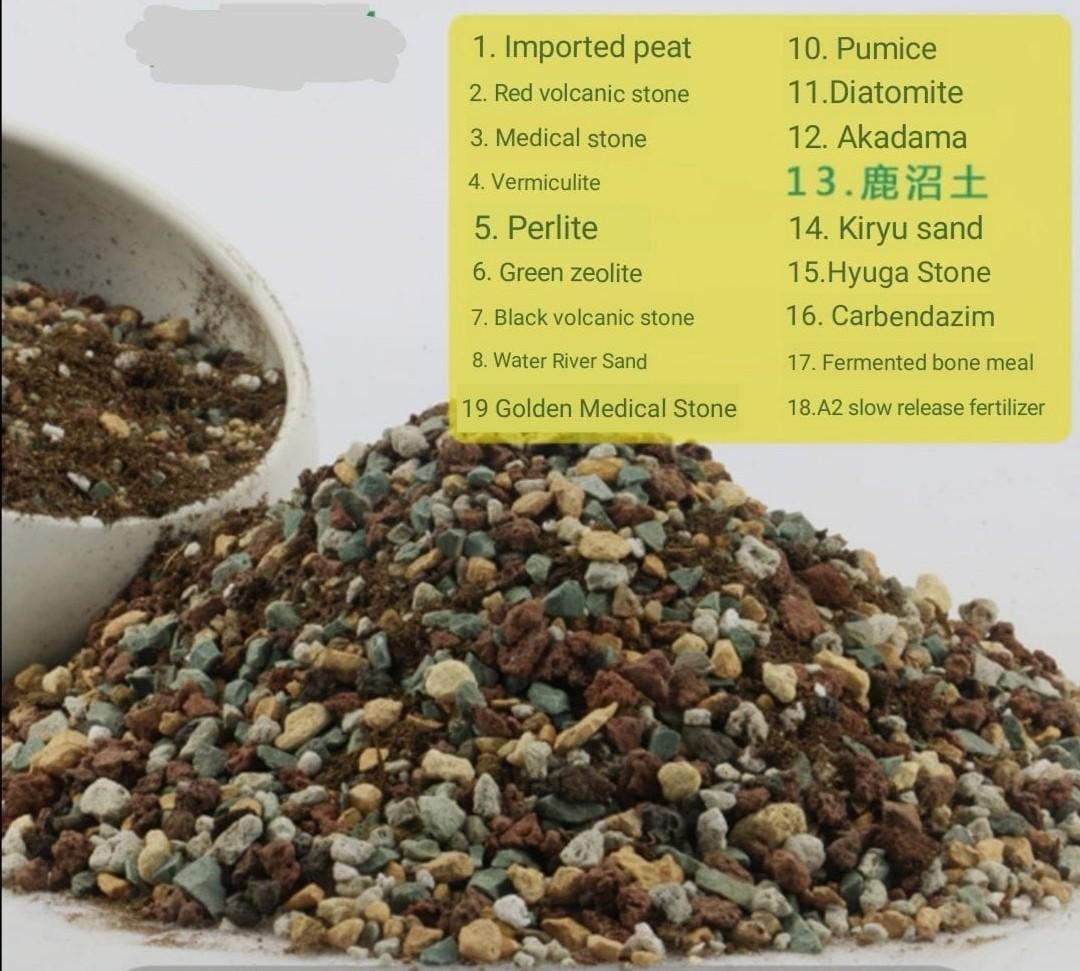 Potting soil/Rainbow Stones/Rocks/Soil and Lecca Clay Balls for ...