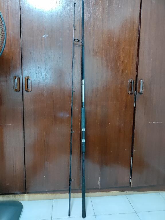 Daiwa Phantom Catfish Spinning Rod 10ft, Sports Equipment, Fishing on ...