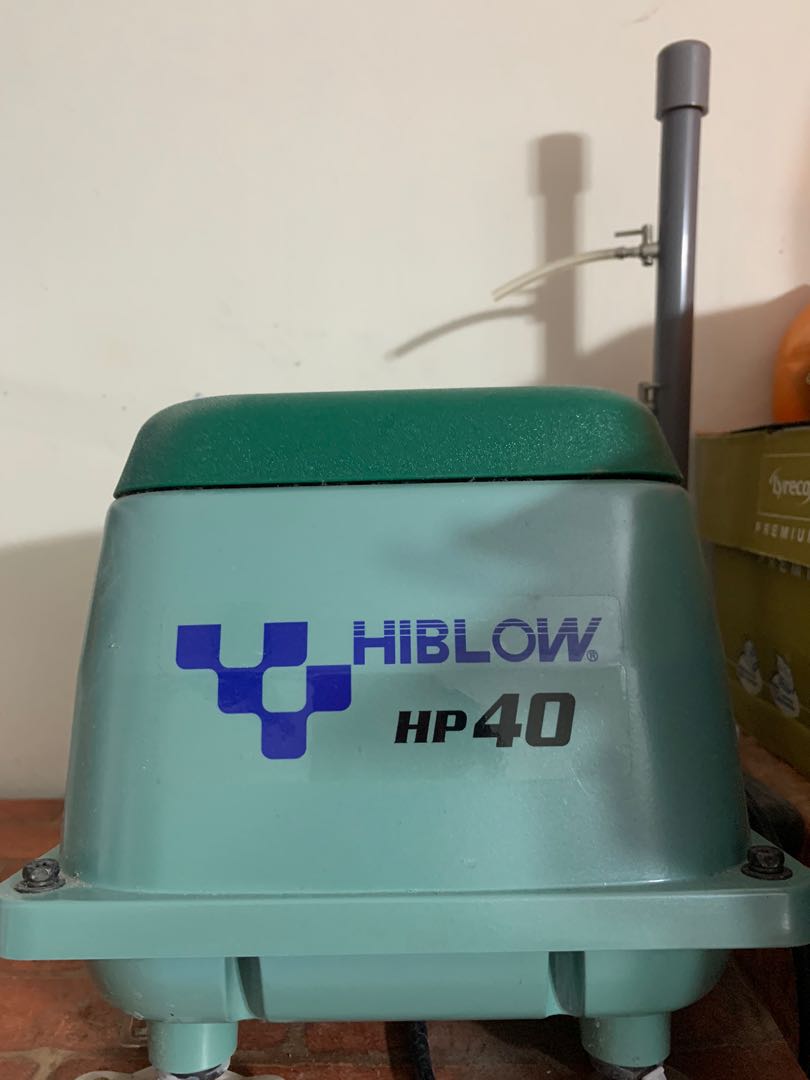 Hiblow 40, Pet Supplies, Homes & Other Pet Accessories on Carousell