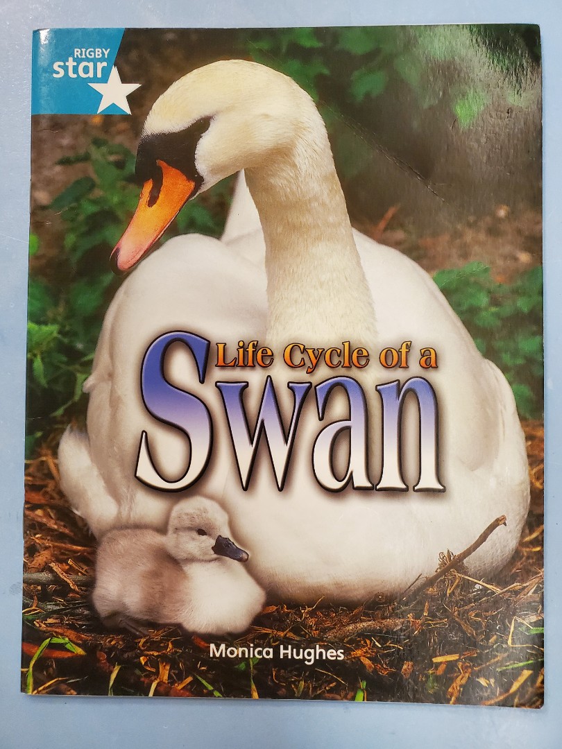 Rigby Star - Life Cycle of a Swan, 興趣及遊戲, 書本 & 文具, 兒童書籍 - Carousell