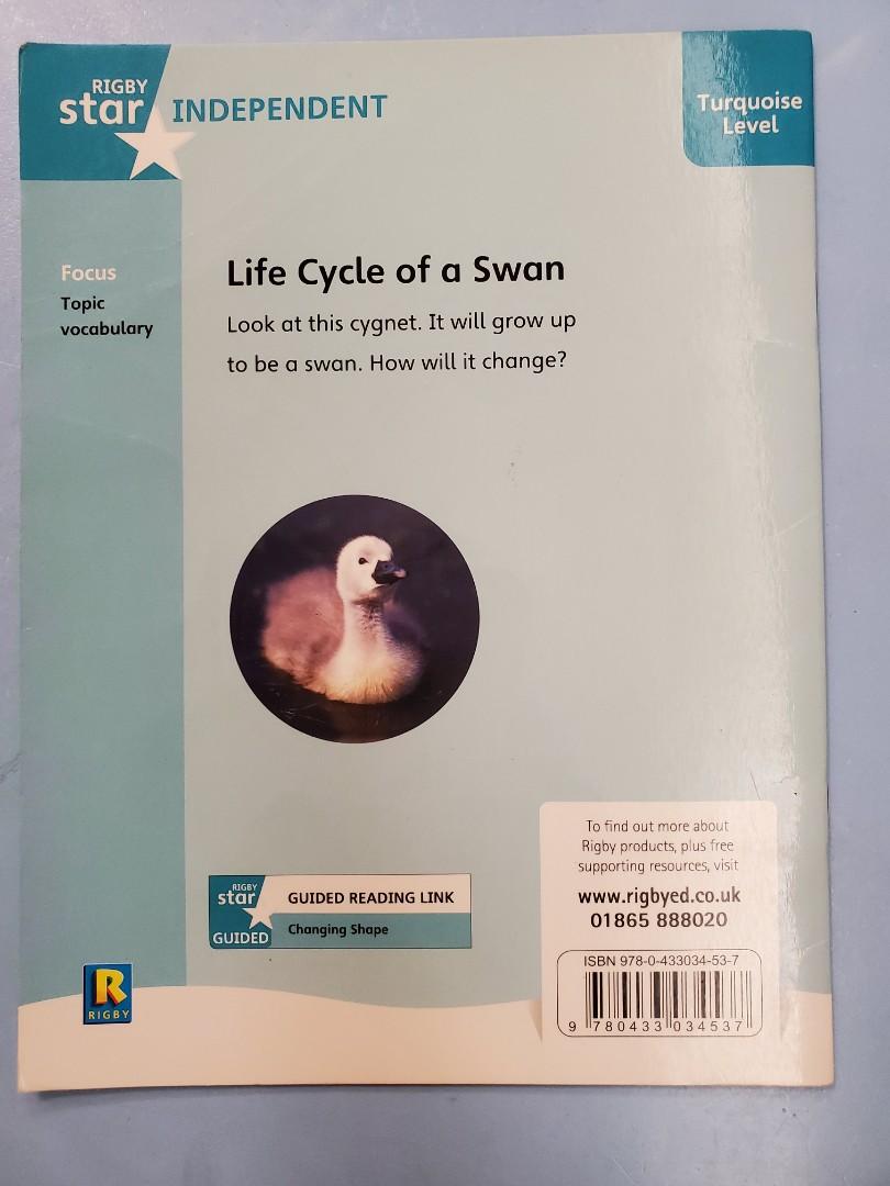 Rigby Star - Life Cycle of a Swan, 興趣及遊戲, 書本 & 文具, 兒童書籍 - Carousell