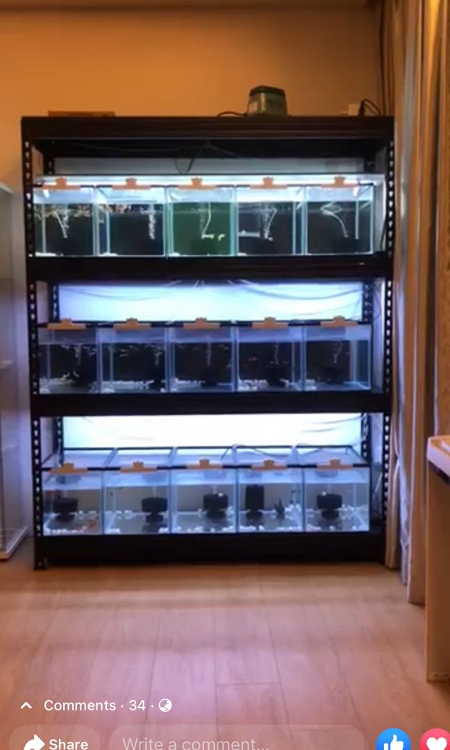 Fish Rack, Furniture & Home Living, Furniture, Shelves, Cabinets ...