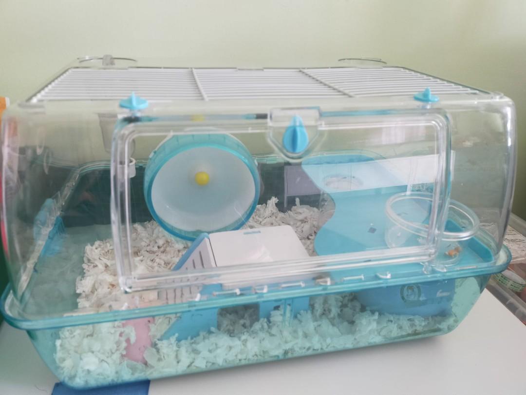 Hamster acrylic house, Pet Supplies, Homes & Other Pet Accessories on ...
