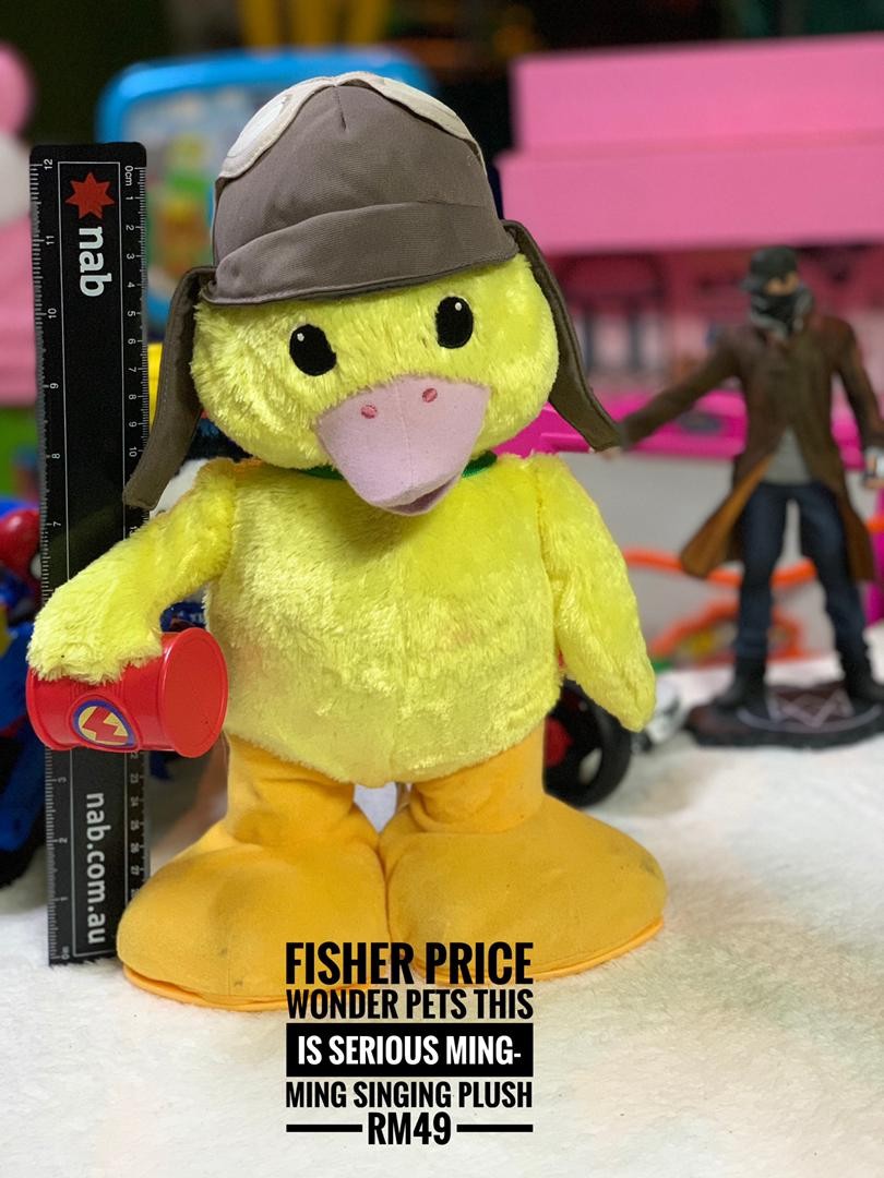 WONDER PETS, Hobbies & Toys, Collectibles & Memorabilia, Fan ...