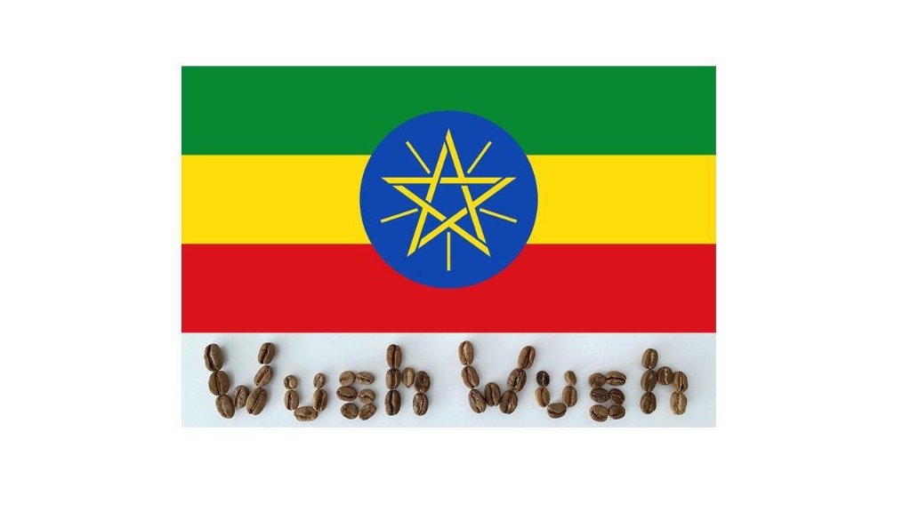Ethiopia Guji Anasora WUSH WUSH - World Champion Berg Wu Champion ...