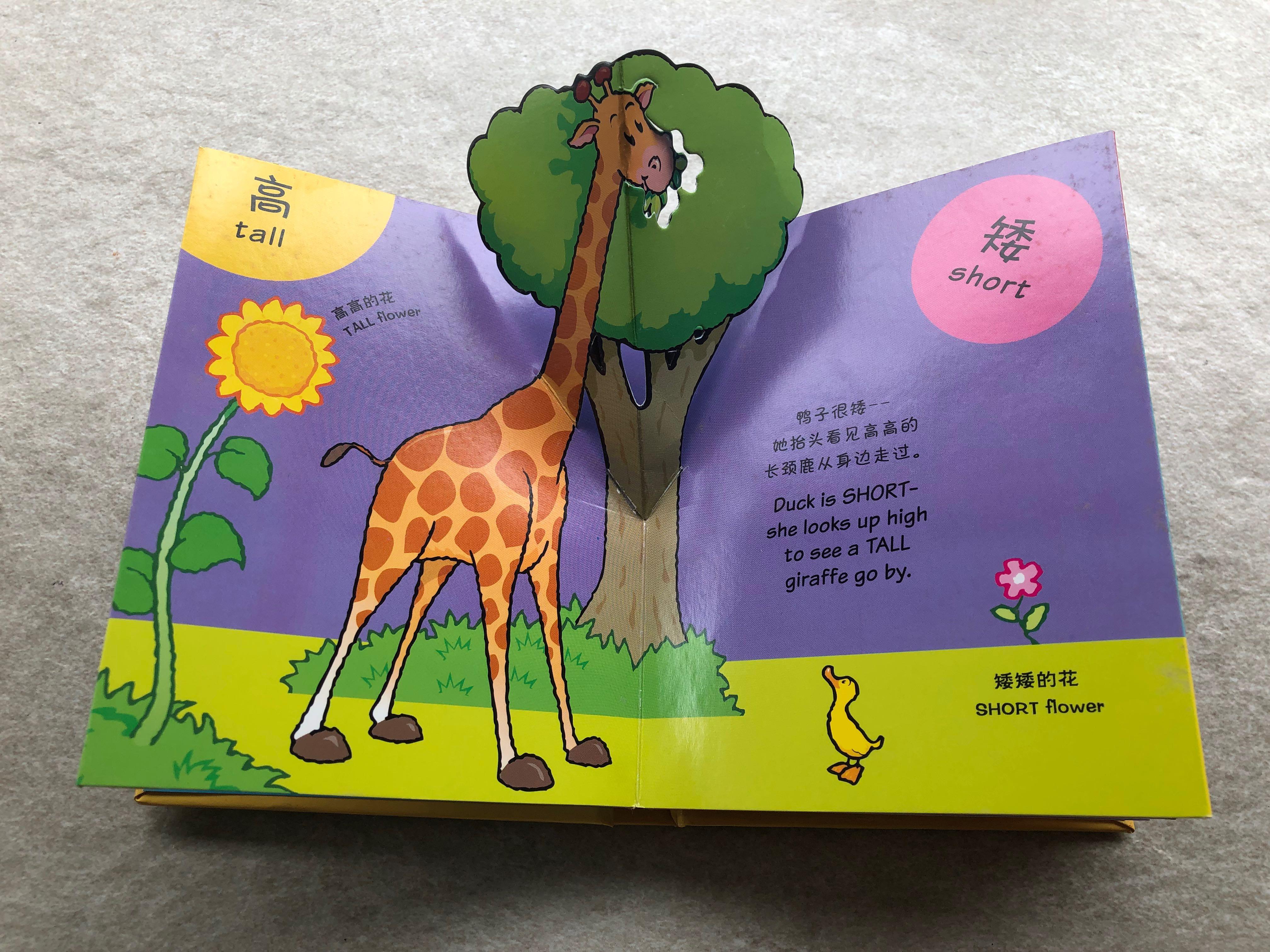 Happy Snappy Chinese English Pop-up Box Set (4 books), Hobbies & Toys ...