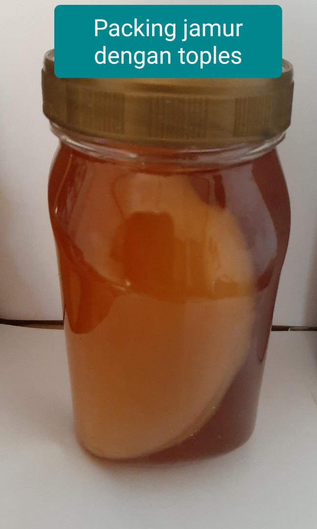 Jamur kombucha, Makanan & Minuman, Minuman Tidak Beralkohol di Carousell