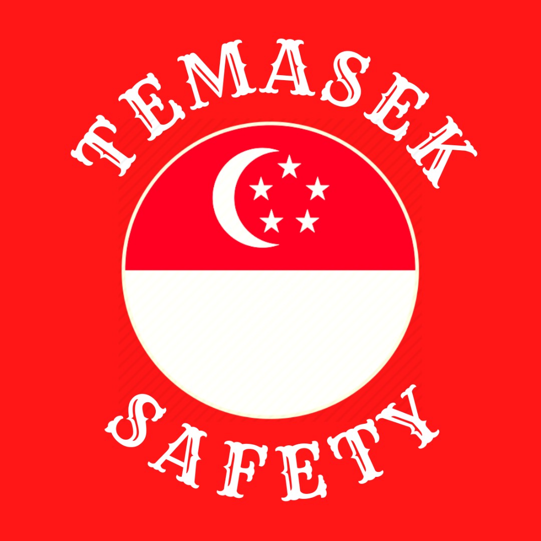 Temasek Safety, Everything Else on Carousell