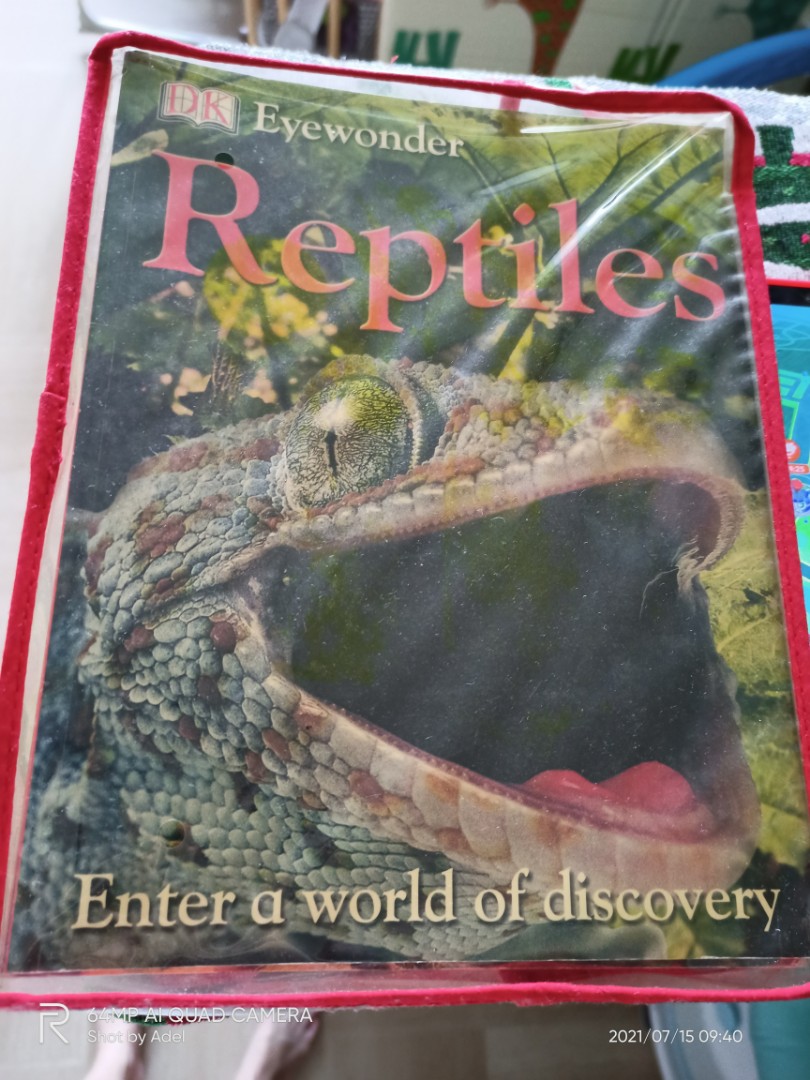 DK books of discovery, Hobbies & Toys, Books & Magazines, Children's ...