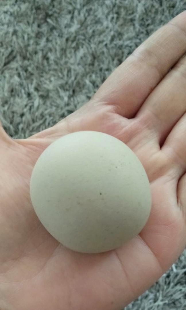 Natural Omo stone, Luxury, Accessories on Carousell