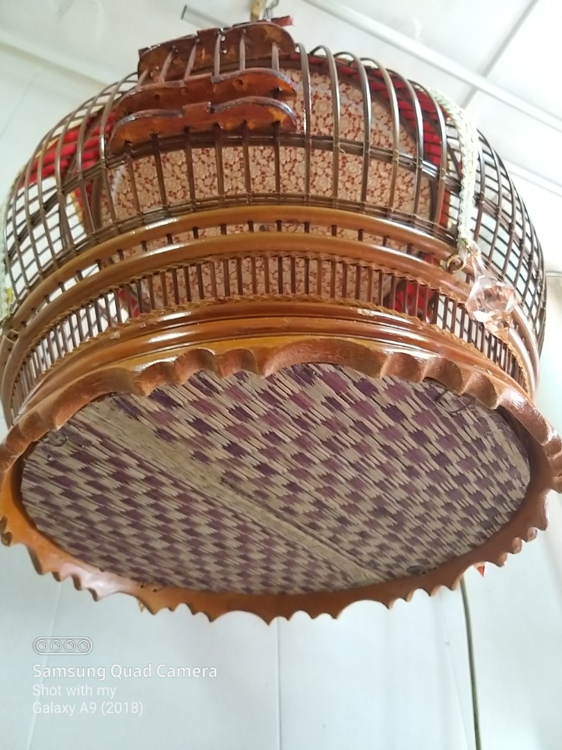 Terkukur cage, Pet Supplies, Homes & Other Pet Accessories on Carousell