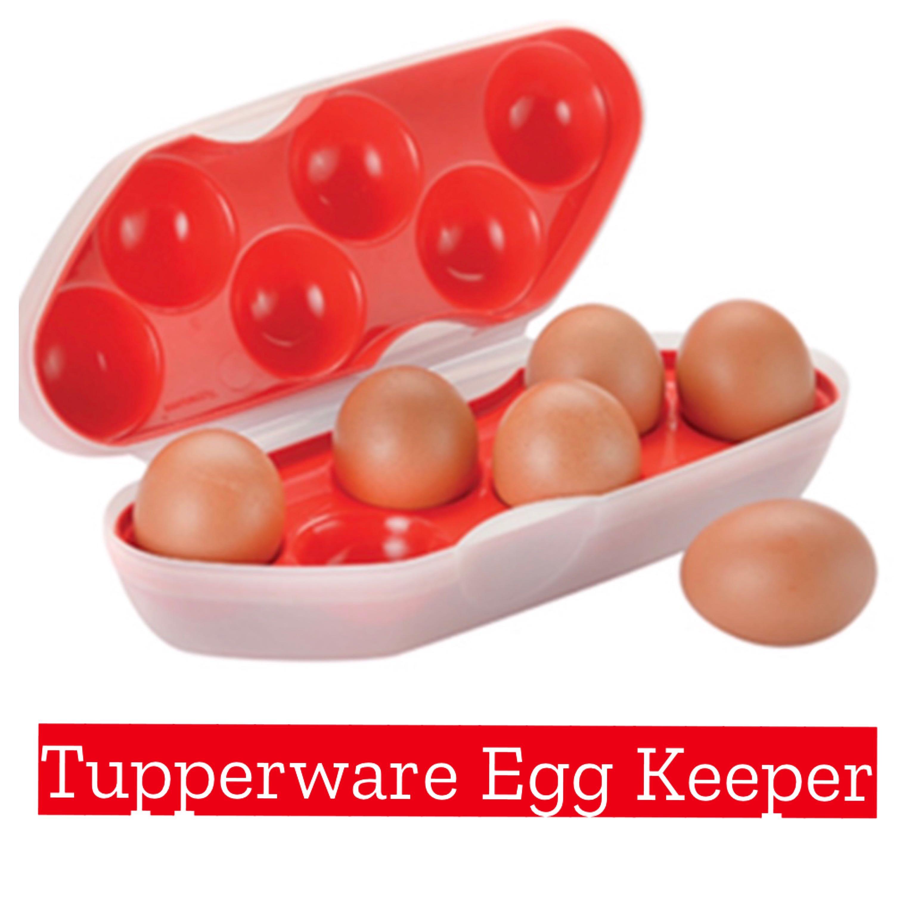 Tupperware Egg Keeper, Furniture & Home Living, Kitchenware & Tableware ...