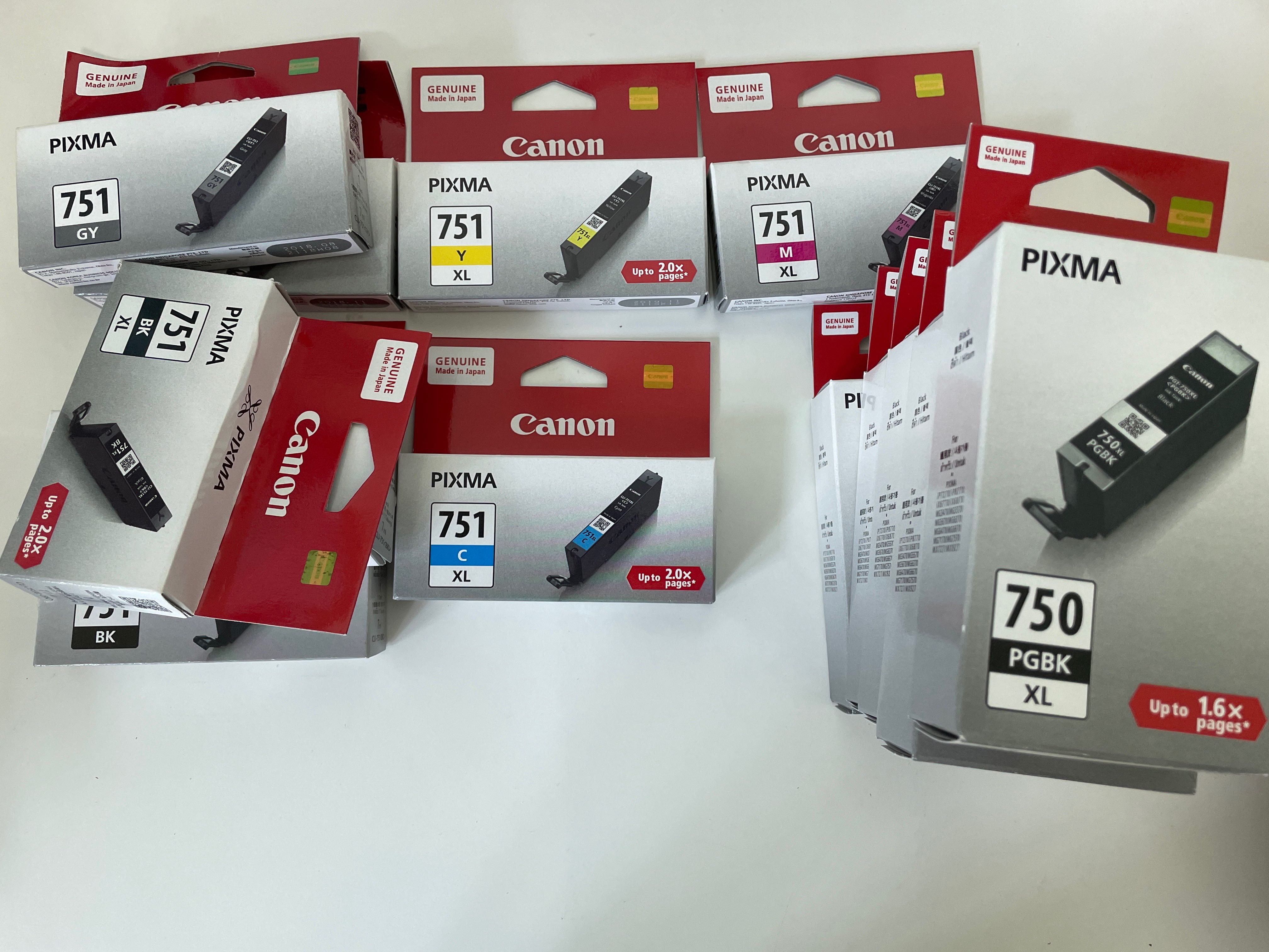 Genuine Canon Pixma 750 and 751 ink tank bundle, Computers & Tech ...