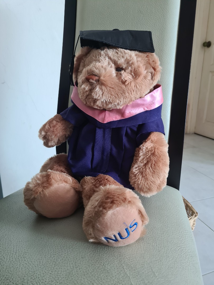 NUS FASS convocation graduation bear, Hobbies & Toys, Toys & Games on ...