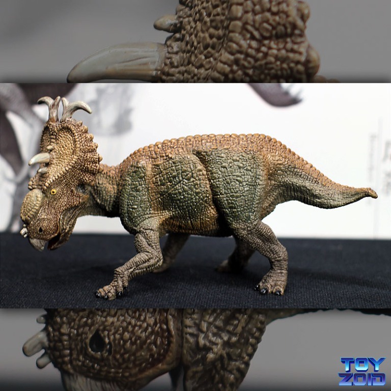 Pachyrhinosaurus Papo Genuine Jurassic Park Dinosaur, Hobbies & Toys ...