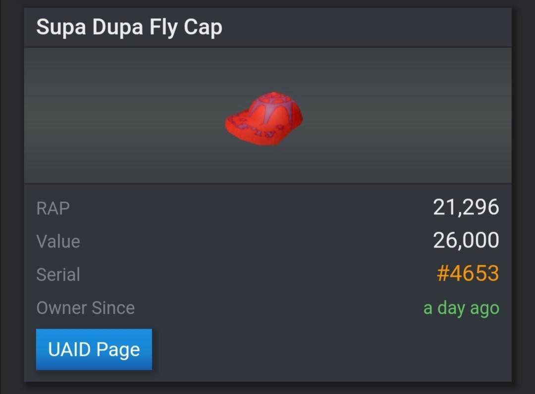 Roblox limited supa dupa fly cap, 遊戲機, 遊戲機遊戲 - Carousell