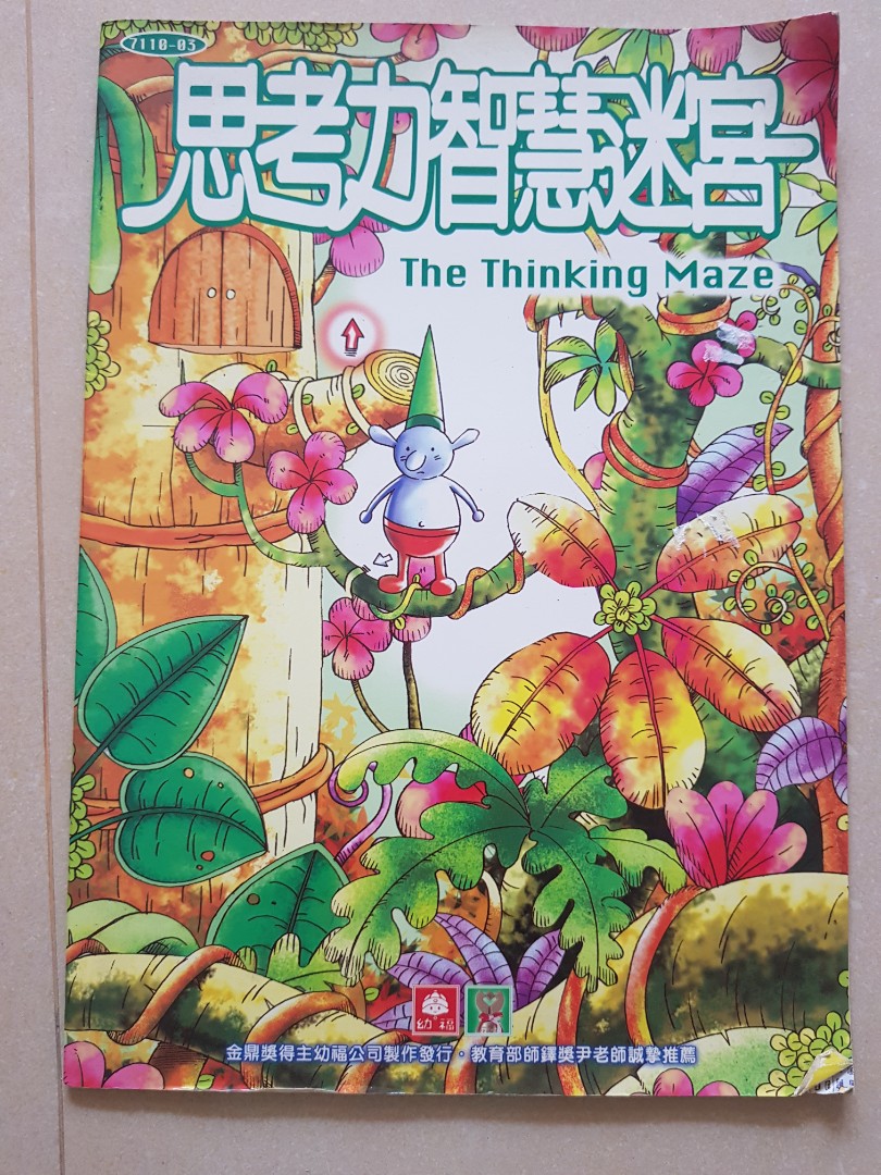 The Thinking Maze for children, Hobbies & Toys, Books & Magazines ...