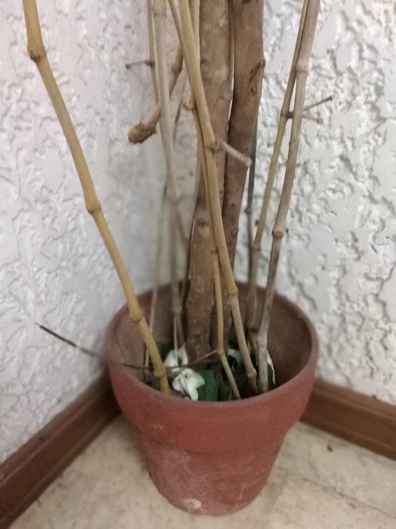 Corner Artificial Towering Stick Plant Pot circumference 32" Plant ...