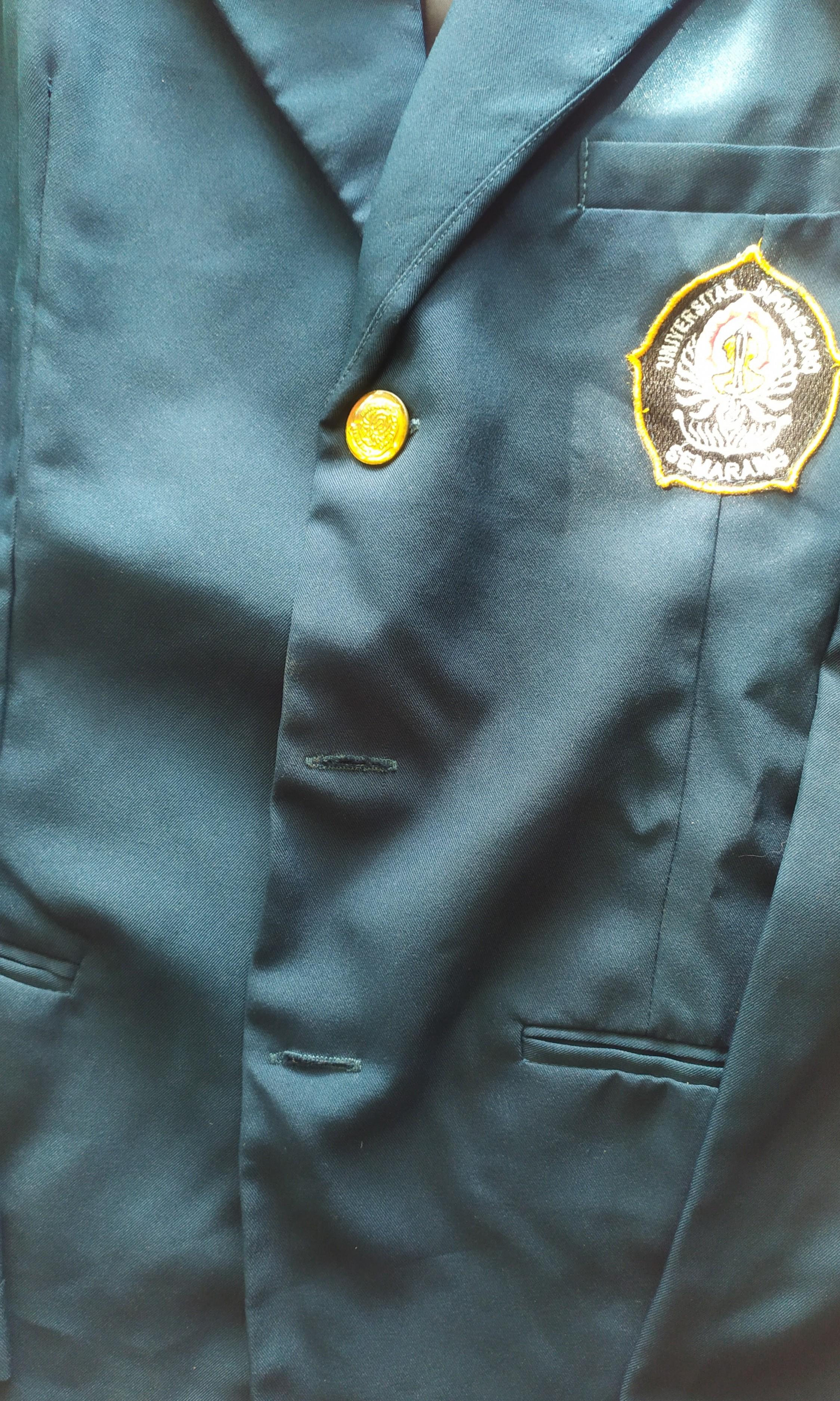 Almamater Universitas Diponegoro - Perumperindo.co.id