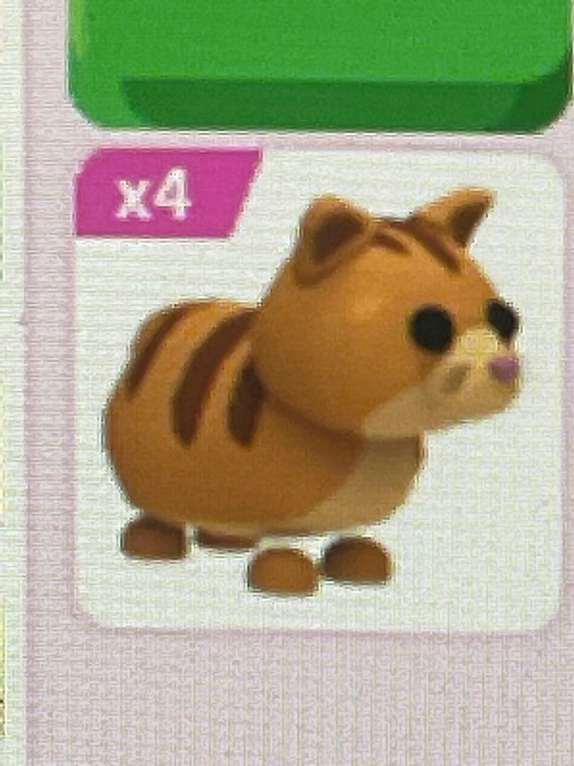 adopt me - ginger cat, 電子遊戲, 電子遊戲機, 其他 - Carousell