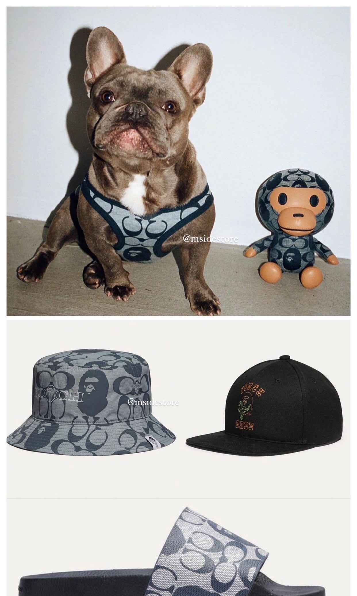 Bape x Coach Collection, Men's Fashion, Tops & Sets, Tshirts & Polo ...