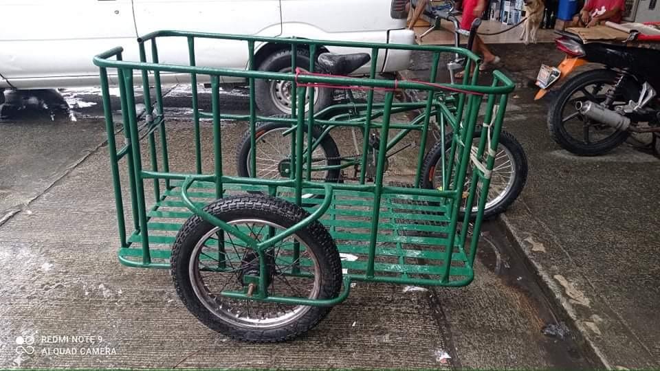Cargo sidecar with bike, Babies & Kids, Going Out, Other Babies Going ...