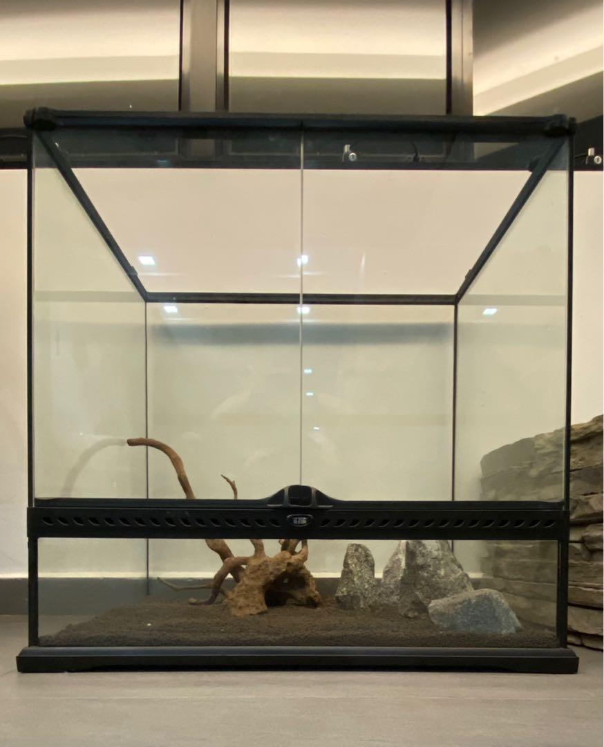 Exo Terra Tank PT2612, Everything Else on Carousell