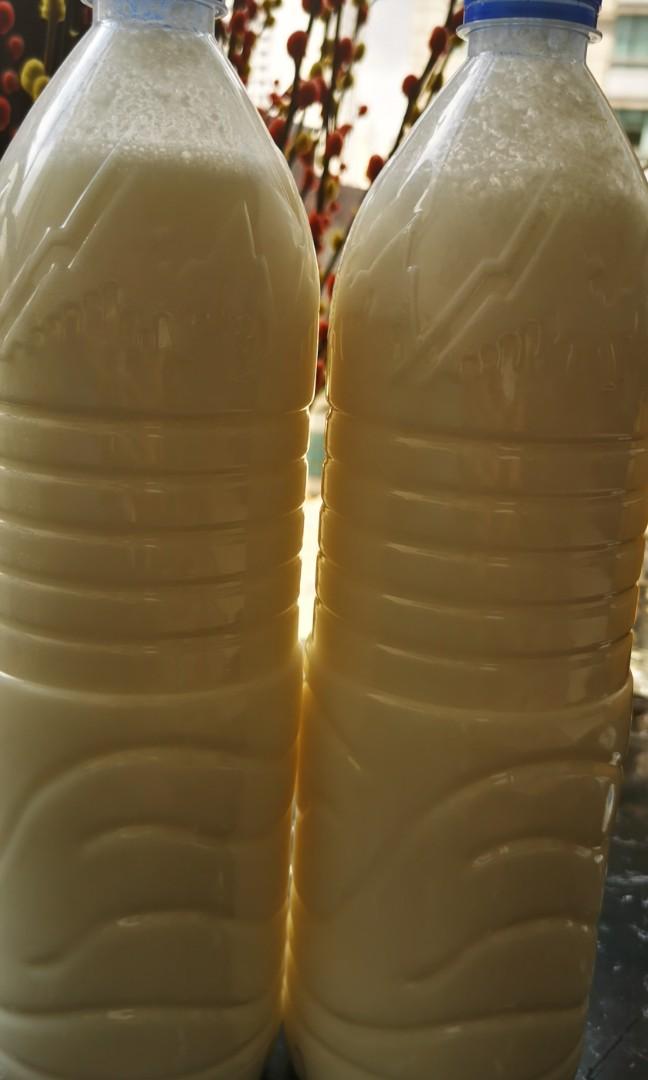 Homemade fizzy doogh / Ayran / yogurt drink 1.5 L, Food & Drinks ...