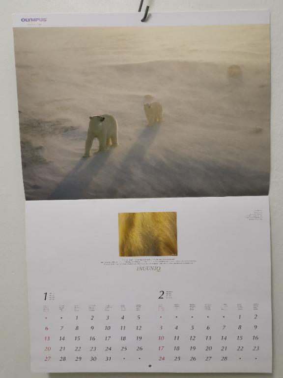 2002 Olympus Calendar , Photography, Lens & Kits on Carousell