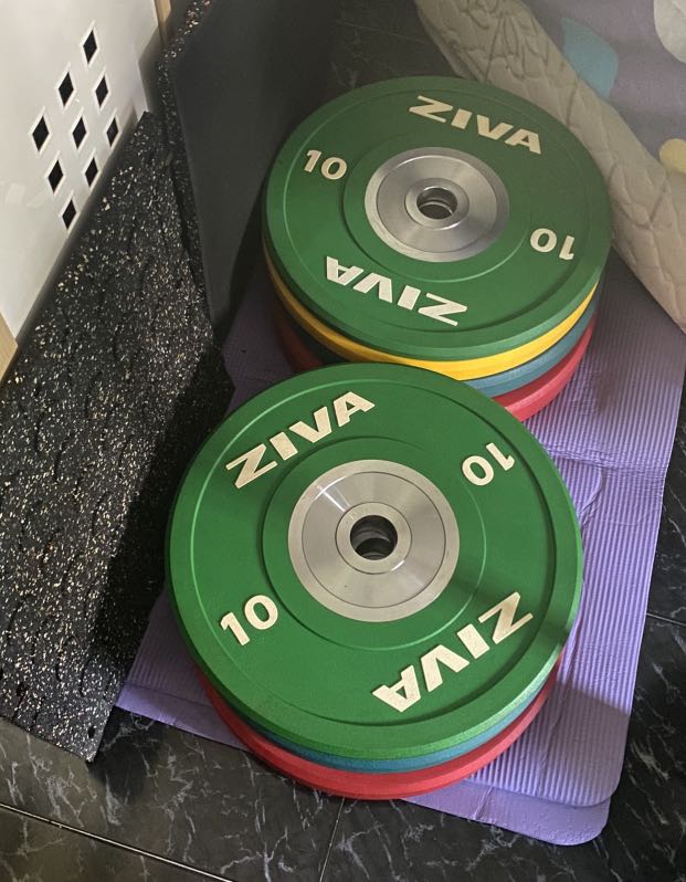 25 kg ziva weight plate, Sports Equipment, Other Sports Equipment and ...