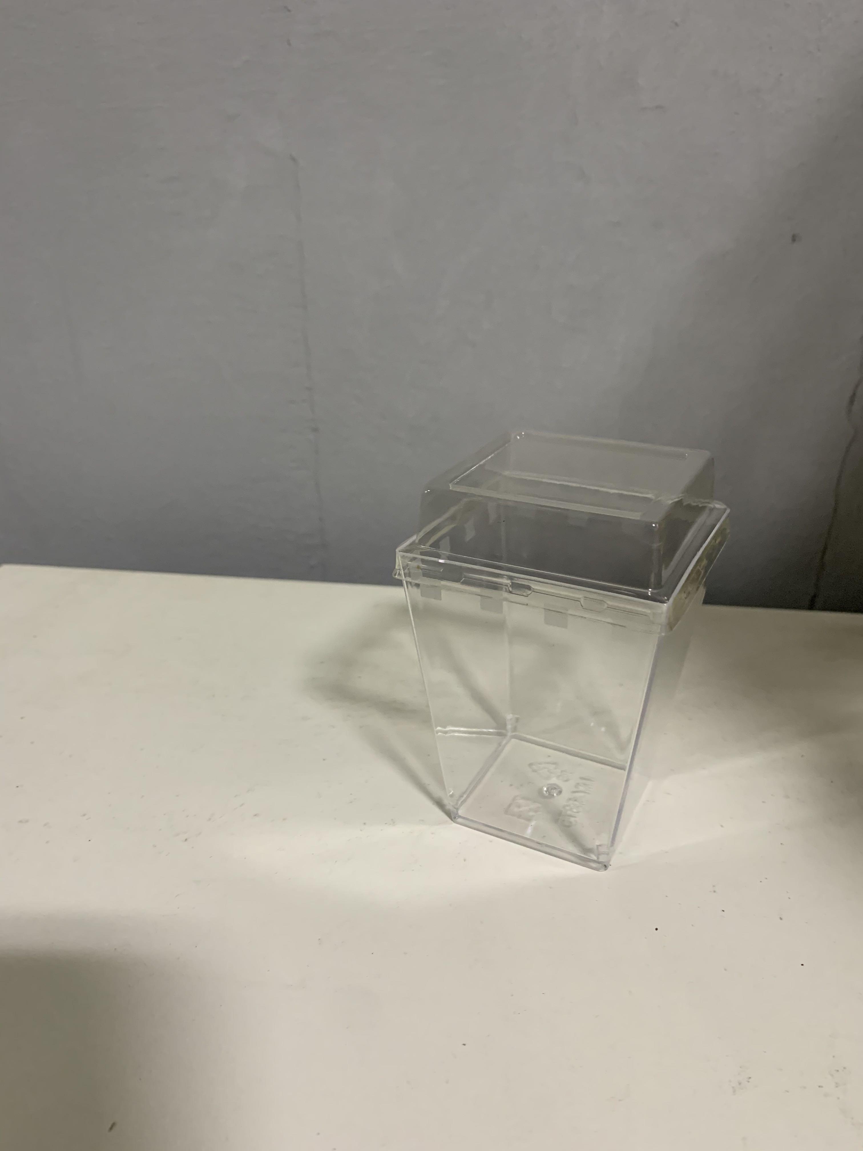 Disposable Canape Container with Lid, Furniture & Home Living ...