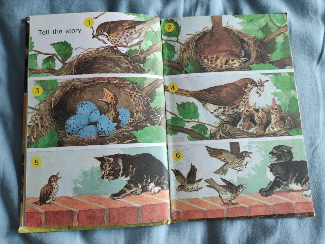 Vintage 1972 Lady Bird book - Picture Reading, Hobbies & Toys, Books ...