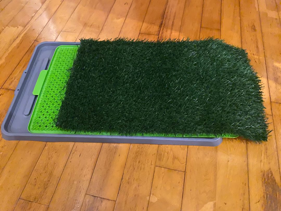 Artificial grass pee tray, Pet Supplies, Homes & Other Pet Accessories ...